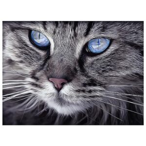 cat with blue eyes stamped cross stitch kits pet cat adults beginners counted cross stitch kits needlecrafts for home wall decor cross stitch patterns/12x16 inch