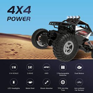 DEERC Extreme Brushless Racing Truck for Adults & Quality RC Car for Beginners and Kids