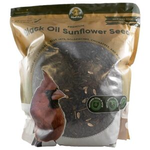 Bird Pro Black Oil Sunflower Seeds (4 lb.)