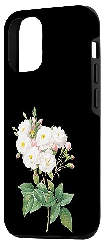 iPhone 13 Pierre Joseph Redoute White Roses Paint Flower Gardener Gift Case