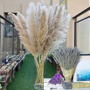 Save 53% Instantly on Combined Orders of 10PCS 47In Tall Natural Pampas Grass and 2 Bundles of 200 Stem & 2 Dried Lavender Sachets for Home Boho Decor