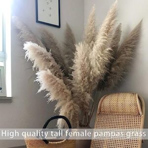 Save 53% Instantly on Combined Orders of 10PCS 47In Tall Natural Pampas Grass and 2 Bundles of 200 Stem & 2 Dried Lavender Sachets for Home Boho Decor