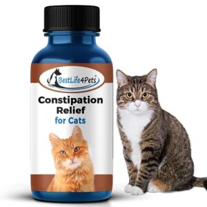 bestlife4pets - cats constipation relief and stool softeners - natural health supplements to help digestion, gas relief and constipation - allergy laxatives for cats- pills