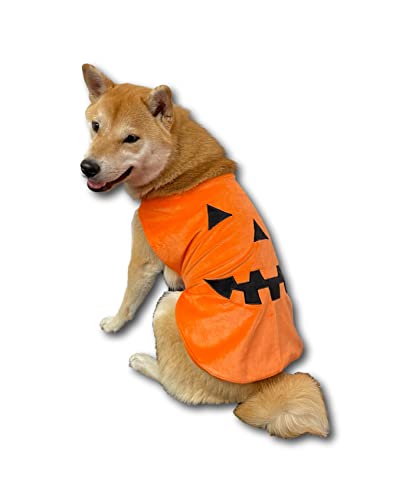 ComfyCamper Pumpkin Dog Costume - X Large Medium Small Shepherd French Lab Retrieve Pet Cosplay Halloween Costumes (X-Large)