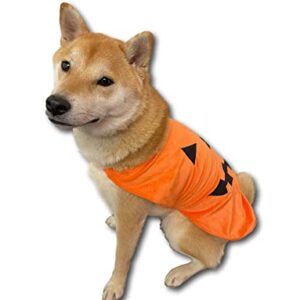 ComfyCamper Pumpkin Dog Costume - X Large Medium Small Shepherd French Lab Retrieve Pet Cosplay Halloween Costumes (X-Large)