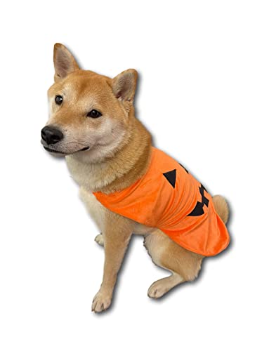 ComfyCamper Pumpkin Dog Costume - X Large Medium Small Shepherd French Lab Retrieve Pet Cosplay Halloween Costumes (X-Large)