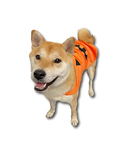 ComfyCamper Pumpkin Dog Costume - X Large Medium Small Shepherd French Lab Retrieve Pet Cosplay Halloween Costumes (X-Large)