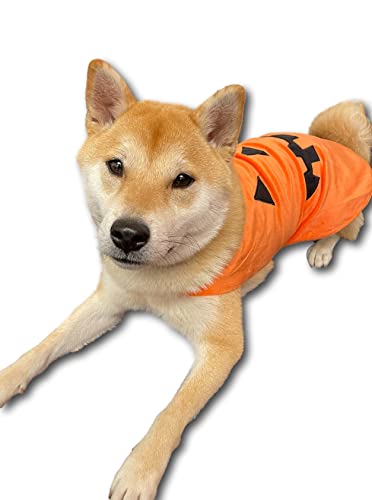 ComfyCamper Pumpkin Dog Costume - X Large Medium Small Shepherd French Lab Retrieve Pet Cosplay Halloween Costumes (X-Large)