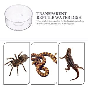 Reptile Food Bowls 30Pcs Reptile Water Bowls Reptile Feeder Food Dish Transparent Food Bowl Terrarium Bowls Worm Dish for Tortoise Lizard Bearded Dragon Frog Leopard Gecko Snake