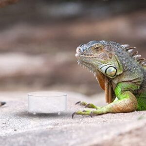 Reptile Food Bowls 30Pcs Reptile Water Bowls Reptile Feeder Food Dish Transparent Food Bowl Terrarium Bowls Worm Dish for Tortoise Lizard Bearded Dragon Frog Leopard Gecko Snake