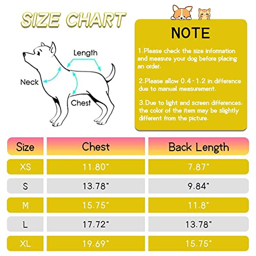 Dog Bee Costume Pet Cute Coat Puppy Clothes Cat Bumblebee Apparel with Hoodies for Small and Medium Dog (M)