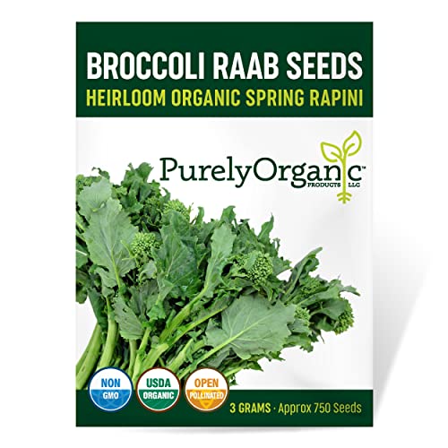 Purely Organic Products Broccoli Raab Seeds (Spring Rapini) - Approx 900 Seeds - Certified Organic, Non-GMO, Open Pollinated, Heirloom