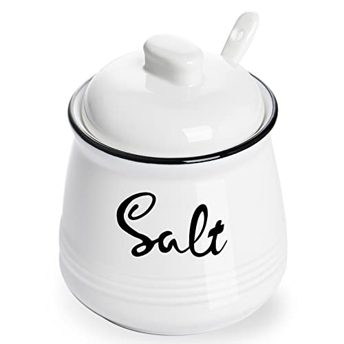 HAOTOP Farmhouse Porcelain Salt Bowl with Lid and Spoon 12oz,Easy to Clean (White)