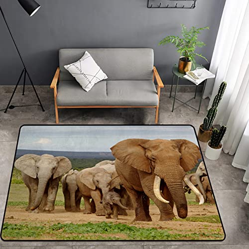 Washable Area Sponge Rug Mat for Kids Girls Boys Bedroom Living Room African Elephant, Exotic Jungle Wild Animal Non-Slip Carpet Super Soft Extra Thick Bathroom Dorm Home Indoor Small Floor Rugs