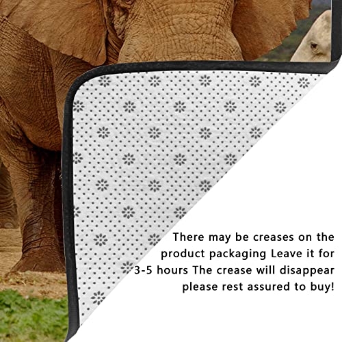 Washable Area Sponge Rug Mat for Kids Girls Boys Bedroom Living Room African Elephant, Exotic Jungle Wild Animal Non-Slip Carpet Super Soft Extra Thick Bathroom Dorm Home Indoor Small Floor Rugs