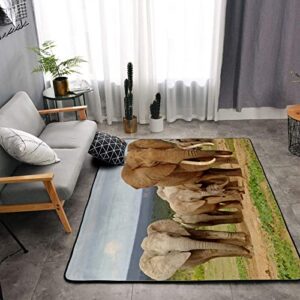 Washable Area Sponge Rug Mat for Kids Girls Boys Bedroom Living Room African Elephant, Exotic Jungle Wild Animal Non-Slip Carpet Super Soft Extra Thick Bathroom Dorm Home Indoor Small Floor Rugs