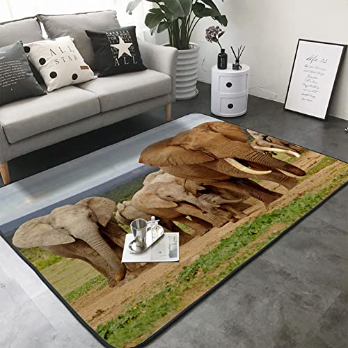 Washable Area Sponge Rug Mat for Kids Girls Boys Bedroom Living Room African Elephant, Exotic Jungle Wild Animal Non-Slip Carpet Super Soft Extra Thick Bathroom Dorm Home Indoor Small Floor Rugs