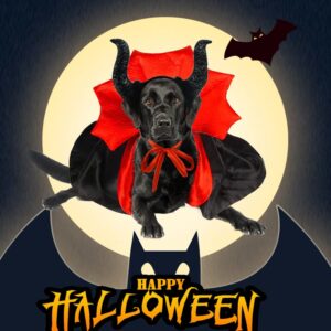 2 Pcs Pet Halloween Costume Cat Dog Cosplay Vampire Cape Devil Horns Hat Holiday Clothes for Cat Puppy Dog Halloween Party Pet Cosplay