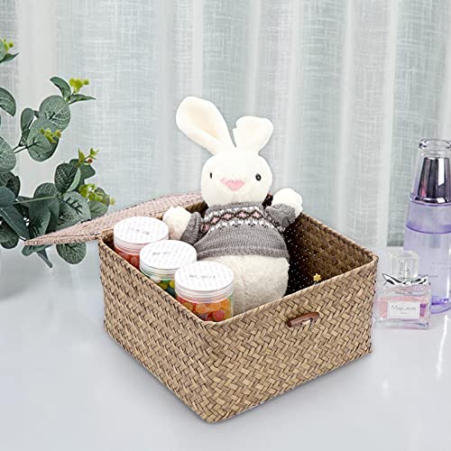 Hipiwe Wicker Shelf Baskets Bin with Lid Handwoven Seagrass Storage Basket Container Square Multipurpose Household Basket Boxes for Shelves and Home Organizer, Coffee Medium