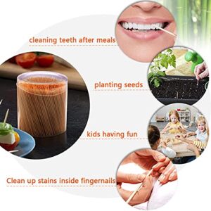 Esmartlife 1500 Count Bamboo Toothpicks,Sturdy Smooth Finish Bamboo Tooth Picks, Cocktail Picks, Toothpicks For Appetizers ,Toothpicks Wood