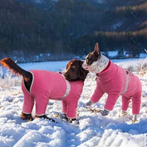 IDOMIK Dog Winter Coat Polar Fleece Clothes Windproof Full Body Pullover Jacket,Pet Cold Weather Warm Vest Onesie Jumpsuit Pajamas Apparel Outfit,High Collar Reflective Snowsuit Sweater For Small Dogs