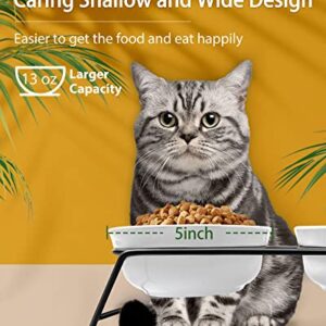 3 Cat Food Bowls Ceramic 13 oz Upgraded with Stainless Steel Stand Non-Slip and Anti-Rust Elevated Raised Cat Bowls for Food and Water, Pet Dishes Bowl for Indoor Cats and Puppy, Dishwasher Safe