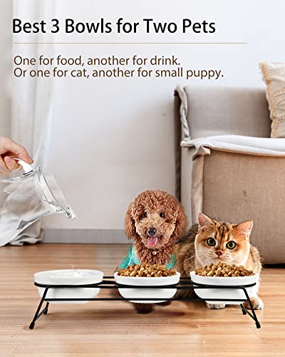 3 Cat Food Bowls Ceramic 13 oz Upgraded with Stainless Steel Stand Non-Slip and Anti-Rust Elevated Raised Cat Bowls for Food and Water, Pet Dishes Bowl for Indoor Cats and Puppy, Dishwasher Safe