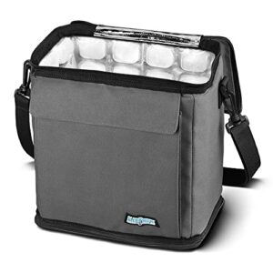 flexifreeze freezable 12 can cooler (charcoal)