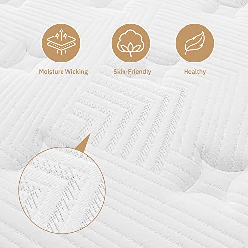 TeQsli Full Mattress, 12 Inch Memory Foam Innerspring Hybrid Mattress in A Box, Medium-Firm for Pressure Relief and Motion Isolation, 10-Year Support,100-Night Trial (TSC-12F-US)