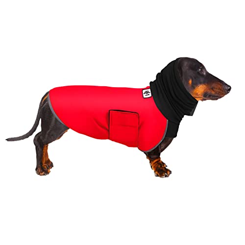 Dachshund Raincoat, Dachshund Clothes for Dog, Dachshund Coat, Dachshund Winter Coat, Dachshund Raincoat Waterproof, Coat Miniature Dachshund, Miniature Dachshund Raincoat for Small Dog (S, Red)