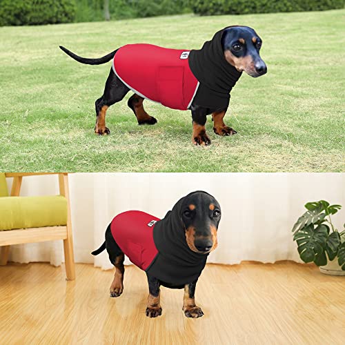 Dachshund Raincoat, Dachshund Clothes for Dog, Dachshund Coat, Dachshund Winter Coat, Dachshund Raincoat Waterproof, Coat Miniature Dachshund, Miniature Dachshund Raincoat for Small Dog (S, Red)