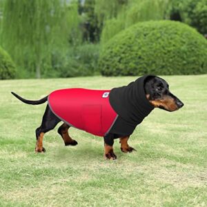 Dachshund Raincoat, Dachshund Clothes for Dog, Dachshund Coat, Dachshund Winter Coat, Dachshund Raincoat Waterproof, Coat Miniature Dachshund, Miniature Dachshund Raincoat for Small Dog (S, Red)