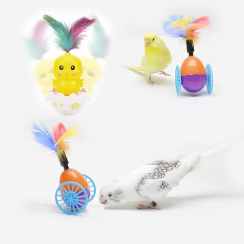 Bird Training Toy Parrot Funny Tumbler Puzzle Educational Toys, Bird Table Top Trick Prop Toy, Bird Foot Talon Toy for Cockatiel African Grey Cockatoo Eclectus Conures (B)