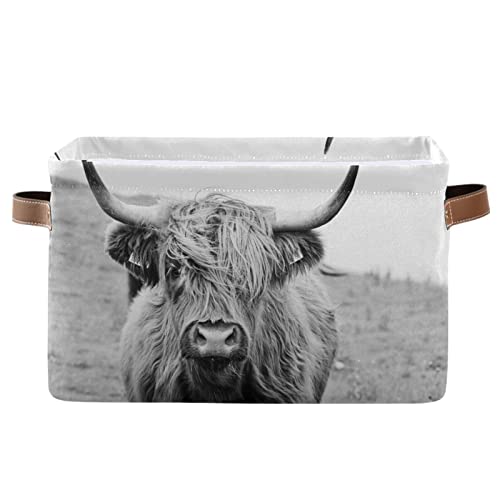 Kigai Highland Cow Storage Baskets Rectangle Foldable Canvas Fabric Organizer Storage Boxes with Handles for Home Office Decorative Closet Shelves Clothes Storage