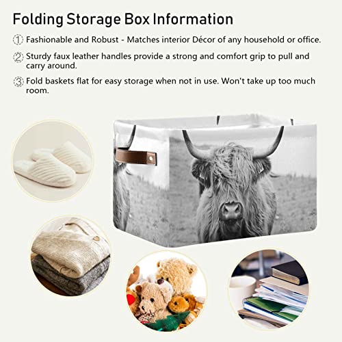 Kigai Highland Cow Storage Baskets Rectangle Foldable Canvas Fabric Organizer Storage Boxes with Handles for Home Office Decorative Closet Shelves Clothes Storage