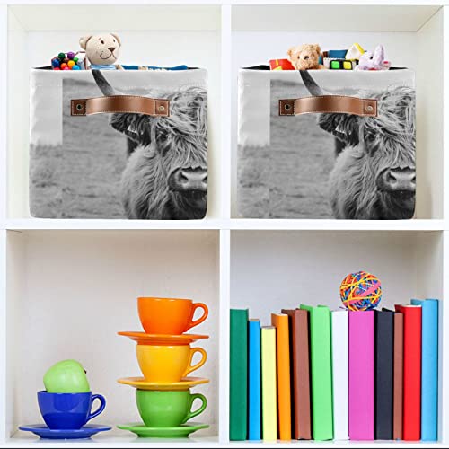 Kigai Highland Cow Storage Baskets Rectangle Foldable Canvas Fabric Organizer Storage Boxes with Handles for Home Office Decorative Closet Shelves Clothes Storage