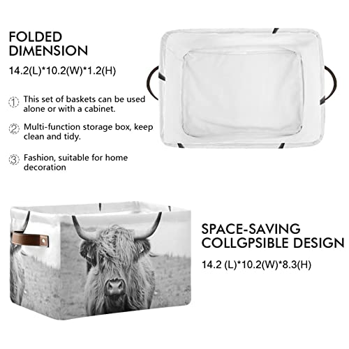 Kigai Highland Cow Storage Baskets Rectangle Foldable Canvas Fabric Organizer Storage Boxes with Handles for Home Office Decorative Closet Shelves Clothes Storage