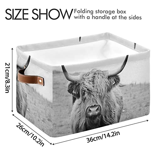 Kigai Highland Cow Storage Baskets Rectangle Foldable Canvas Fabric Organizer Storage Boxes with Handles for Home Office Decorative Closet Shelves Clothes Storage