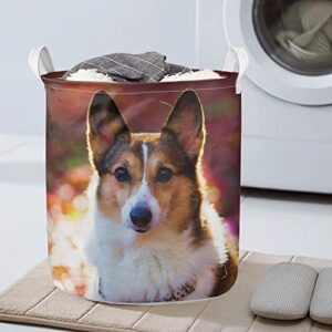 ljmkzjn cute large corgi dog laundry hamper collapsible large laundry basket foldable clothes basket portable laundry bin for bedroom, bathroom, laundry room,washing bin