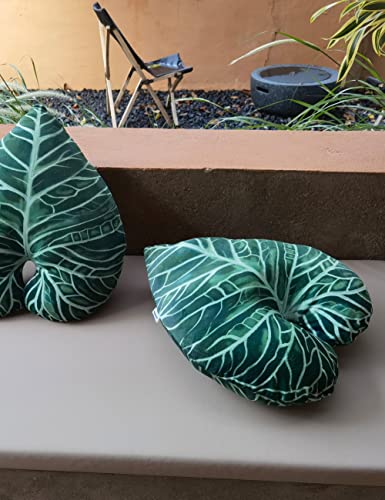 HOFFENDER Leaf Pillows Plant Pillows for Bedroom, Living Room and Patio Green Throw Pillows (Anthurium Regale)