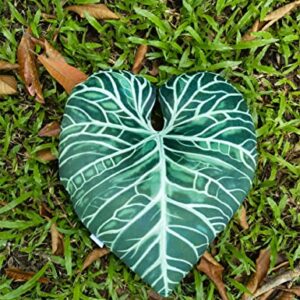 HOFFENDER Leaf Pillows Plant Pillows for Bedroom, Living Room and Patio Green Throw Pillows (Anthurium Regale)