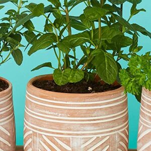 Gold & Garden Bangladesh Small Rustic Geometric Round Terracotta Pot Set with Tray