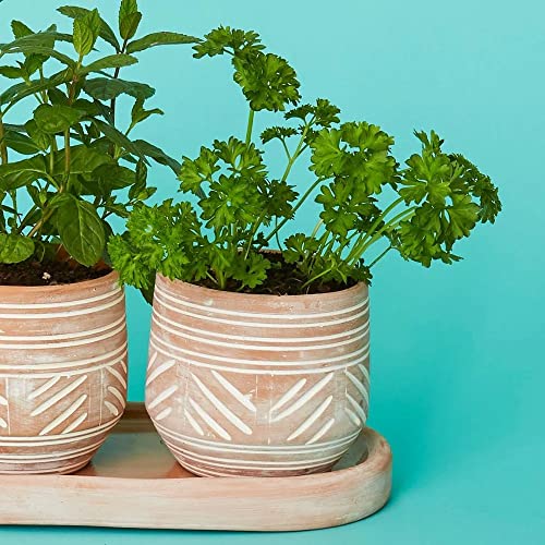 Gold & Garden Bangladesh Small Rustic Geometric Round Terracotta Pot Set with Tray