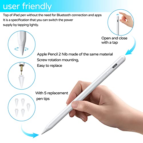 Stylus Pen for Apple iPad Pro/Air(2018-2022), 5 Minuts Get This Stylus Pencil for iPad Full Charged, A Substitute for Your Apple Pencil, with Tilt Bold Function, Palm Rejection & Magnetic Attach