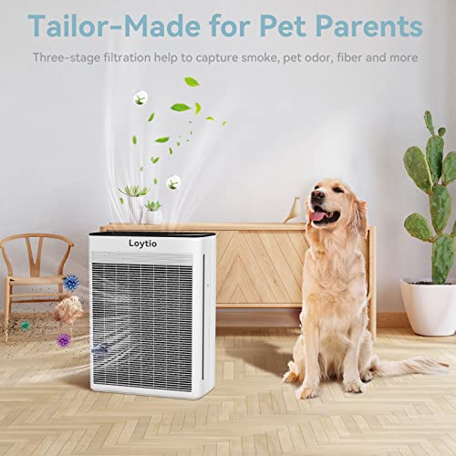 Air Purifiers for Home Large Room, H13 True HEPA Filter Cleaner with Washable Filter for Allergies, Pollen, Smoke, Dust, Pet Hair Remover, White