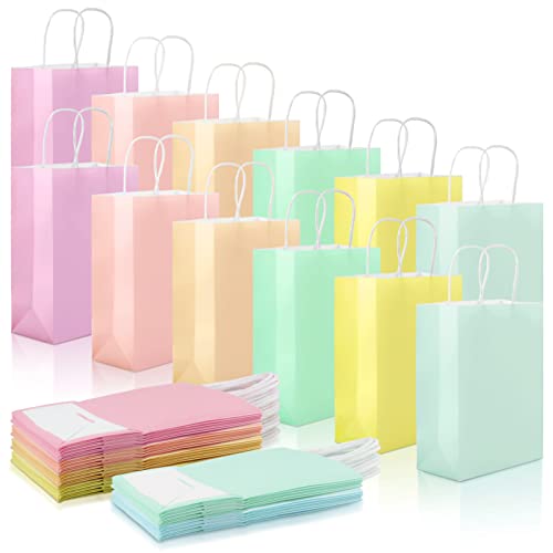 BadenBach 30 Pack Pastel Paper Gift Bags with Handle, Kraft Paper Small Party Favor Goodie Bags Bulk for Birthday Wedding Thanksgiving Halloween Christmas (8.6" x 6.3" x 3.1")