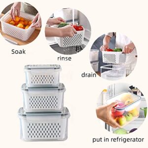 CoopBenPT Fruit vegetable food storage containers for fridge, 3 pack airtight locking lids 100% leak proof refrigerator organizer bins, bpa-free draining fresh box keep vegetables and fruits