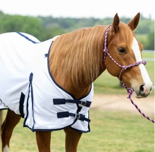 Tack Shack of Ocala- Reinsman Circle Y Breathable Mesh Fly Sheet, Fly Sheet for Horses, Mesh Fly Sheet, Fly Sheet, Breathable Comfy Fly Sheet (75)