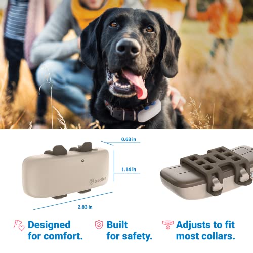 Tractive Waterproof GPS Dog Trackers - Location & Activity, Unlimited Range & Works with Any Collar (Pack of 2)