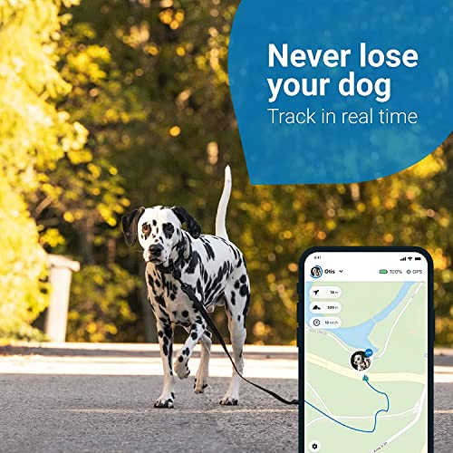 Tractive Waterproof GPS Dog Trackers - Location & Activity, Unlimited Range & Works with Any Collar (Pack of 2)